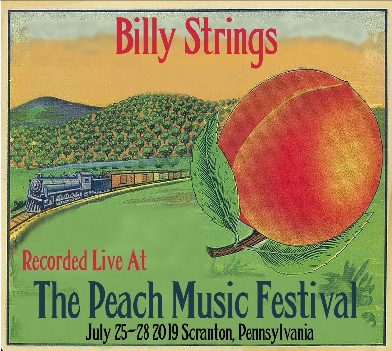 Billy Strings - Live at The 2019 Peach Music Festival – Munck Music